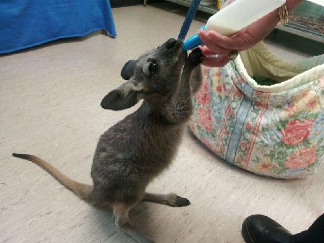 A special little bub to share with you on Mothers Day. Paris having her ...