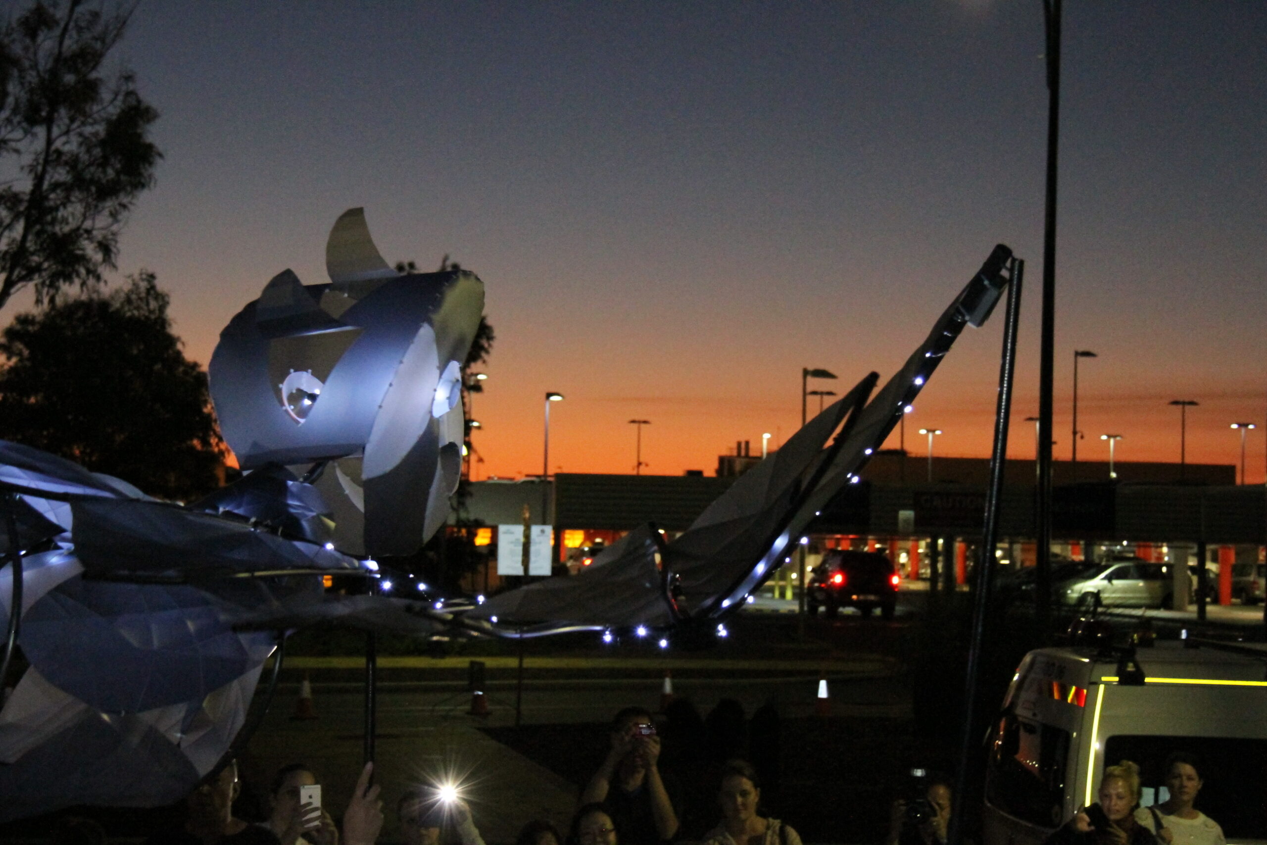 IMG_0804 – If you find an injured native animal in WA, please call us ...